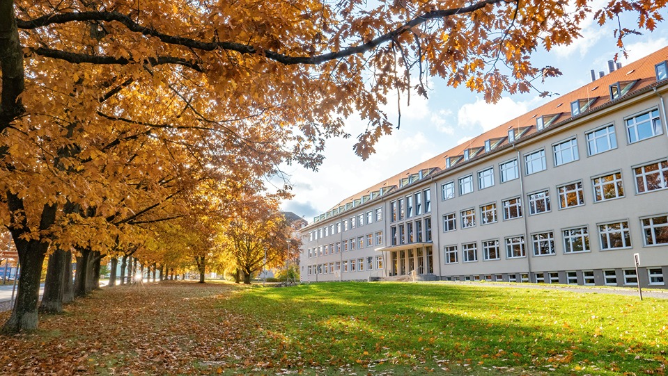 Best Universities in Germany: Unlocking Excellence in Education | Amber